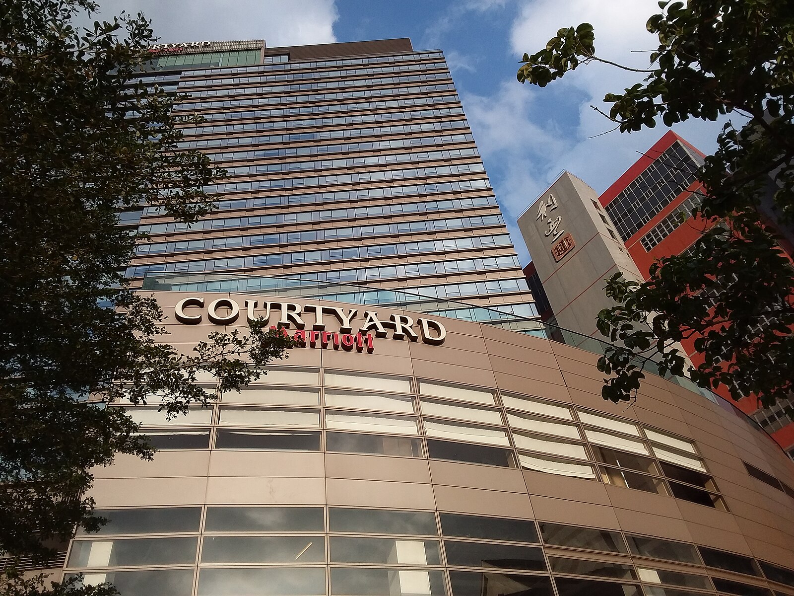 5 Unforgettable Nights in Hong Kong: Our Sha Tin Adventure - Our Travel ...